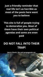 Latest News Memes - MatchMemes.com